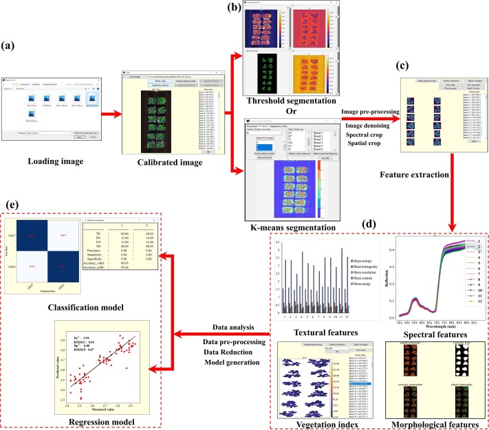 Quantitative Plant | HSI-PP